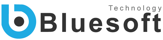 Web Design & Dev, Digital Marketing| Bluesoft Technology